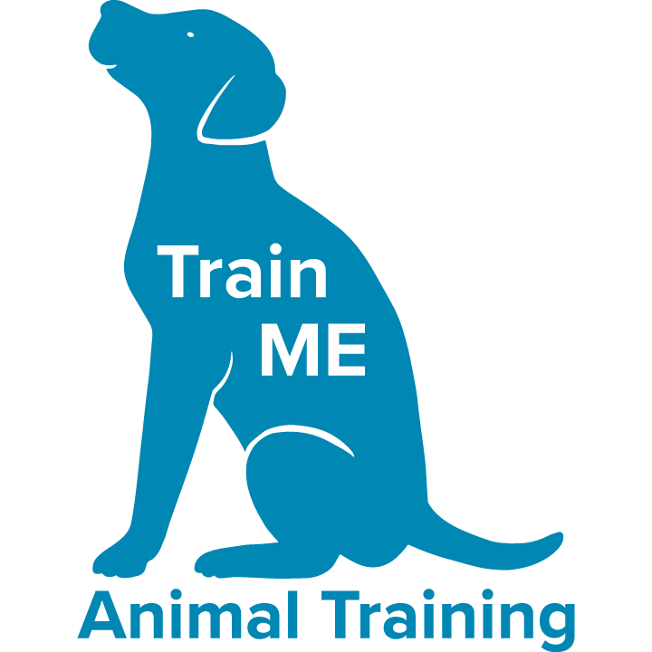 Train ME Animal Training: Professional Dog Training in Maine