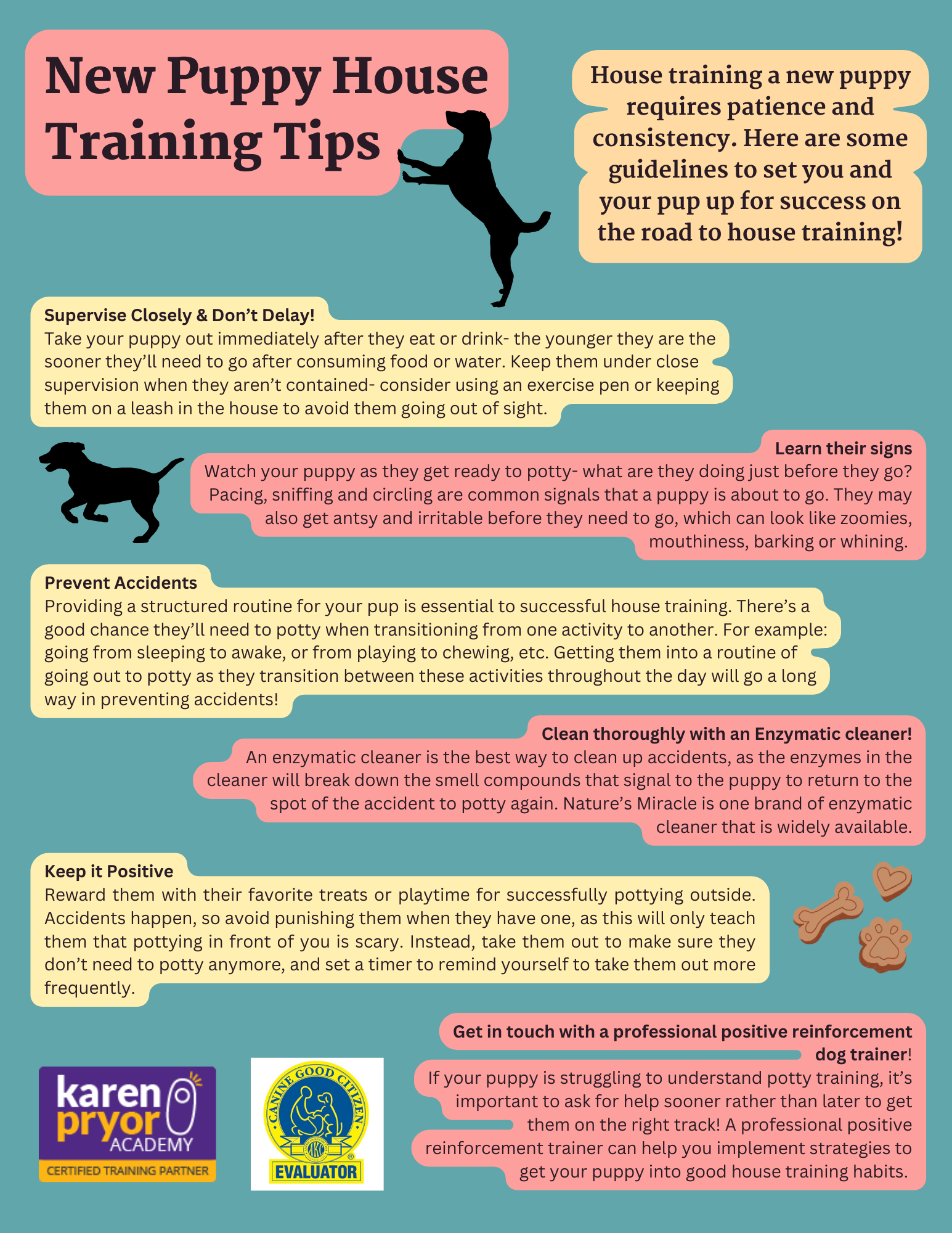Training Tips | Train ME Animal Training